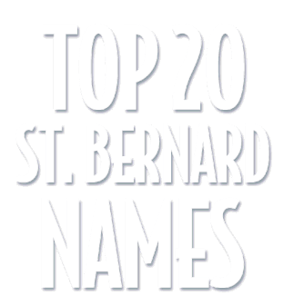 Top Saint Bernard Names | Activities | Santa's North Pole